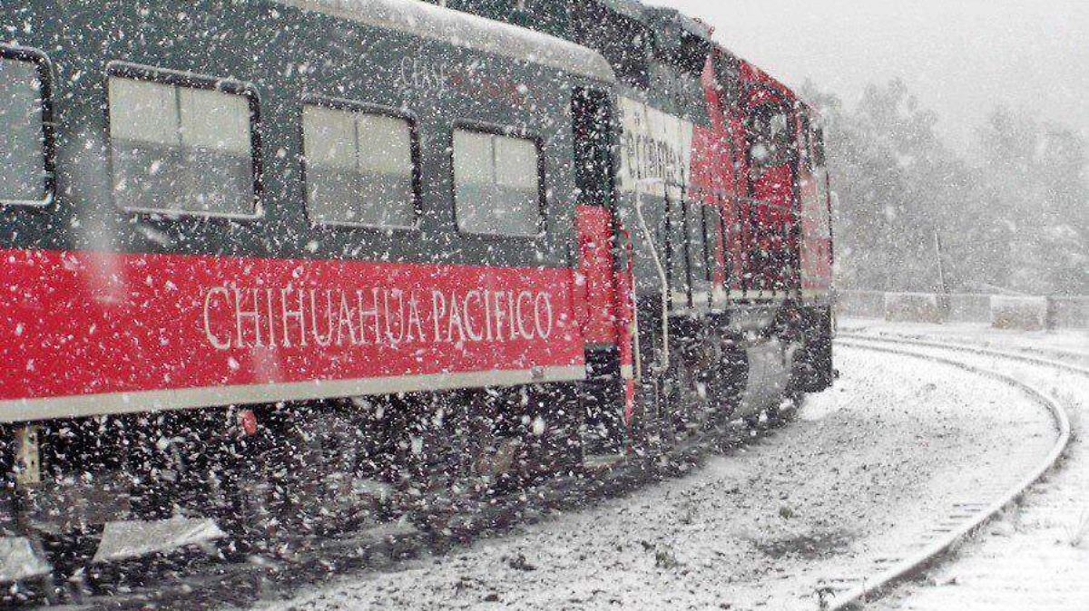 Precios del tren Chepe Express 2025 - El Heraldo de Chihuahua | Noticias Locales, Policiacas, de ...